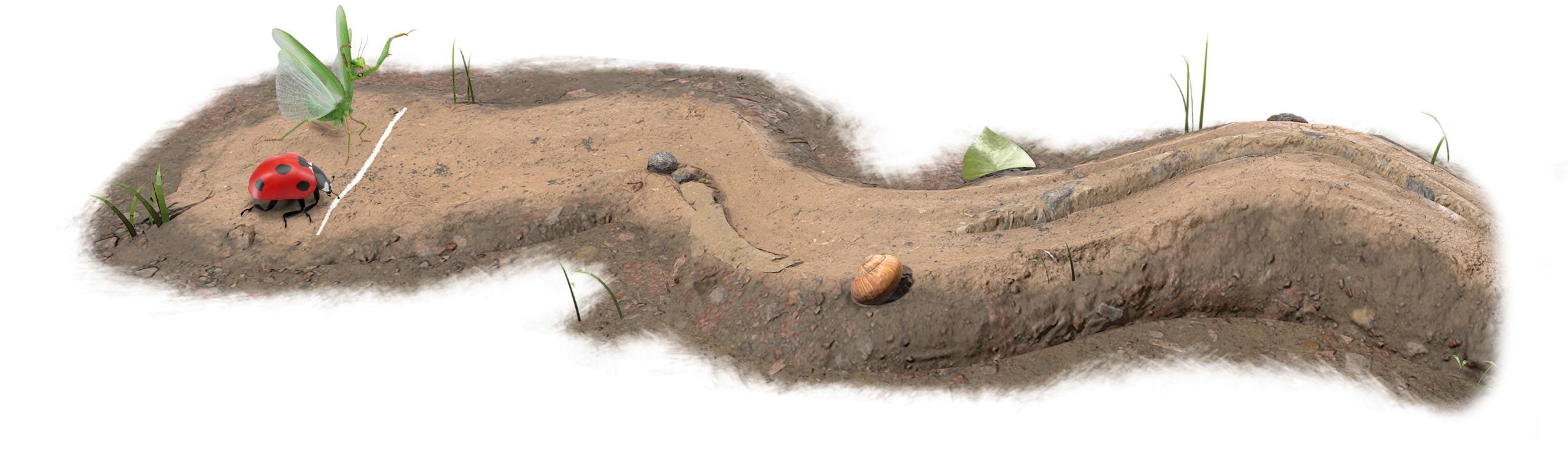 Case Study: Super Insect